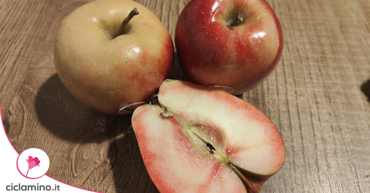 Questa particolare mela ha la polpa colorata di rosso e rosa e un ...